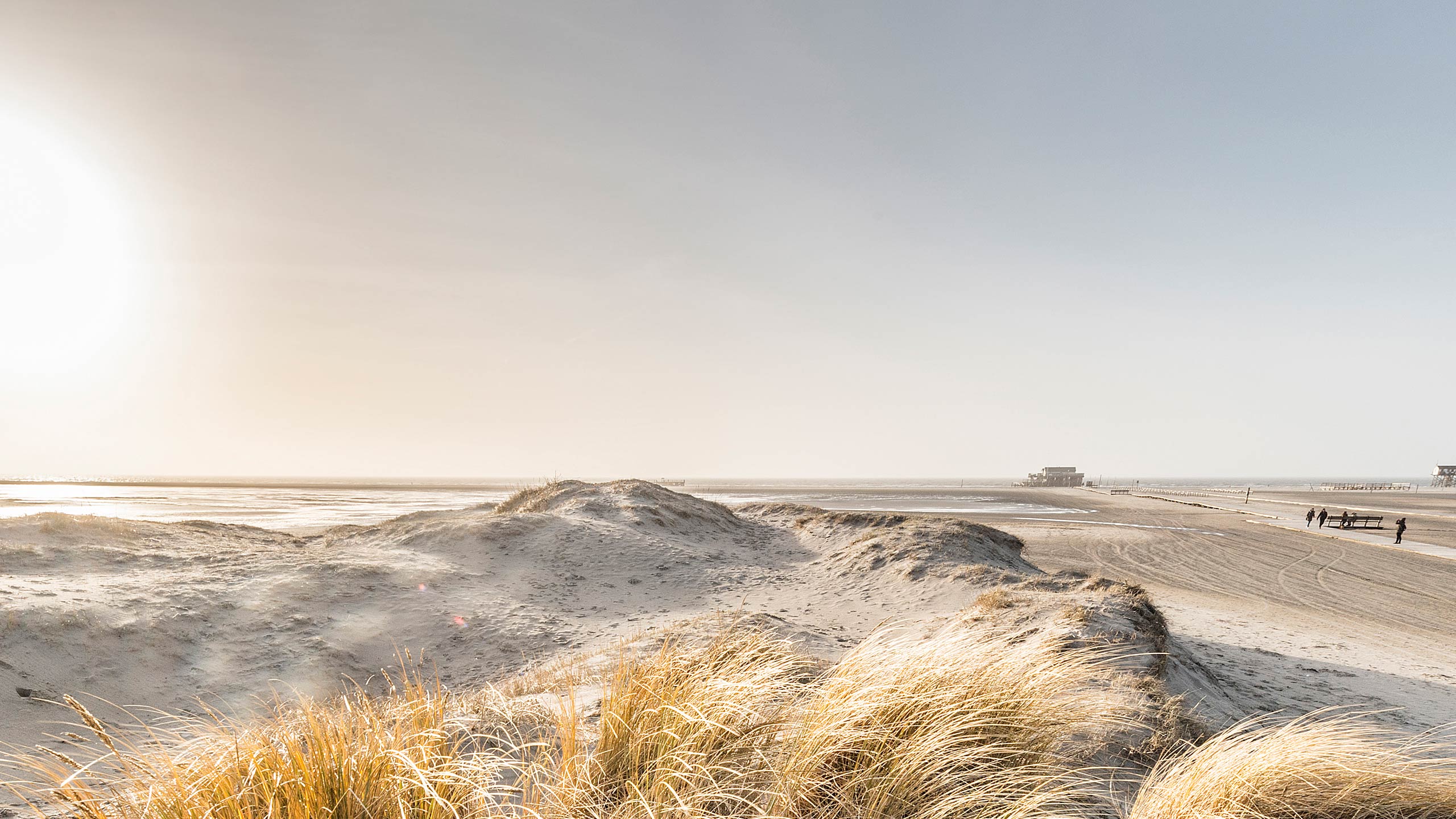 Ferienwohnungen und Häuser in St. Peter Ording | Golde SPO